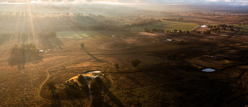 Native vegetation provisions in Local Land Services Act | Have Your Say