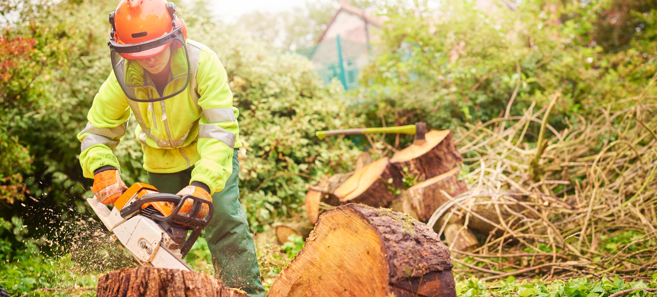 Tree work industry code of practice | Have Your Say