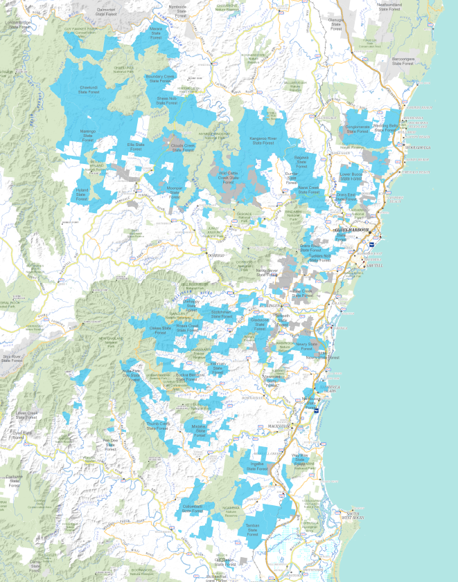 Complete the survey | Great Koala National Park | Have Your Say