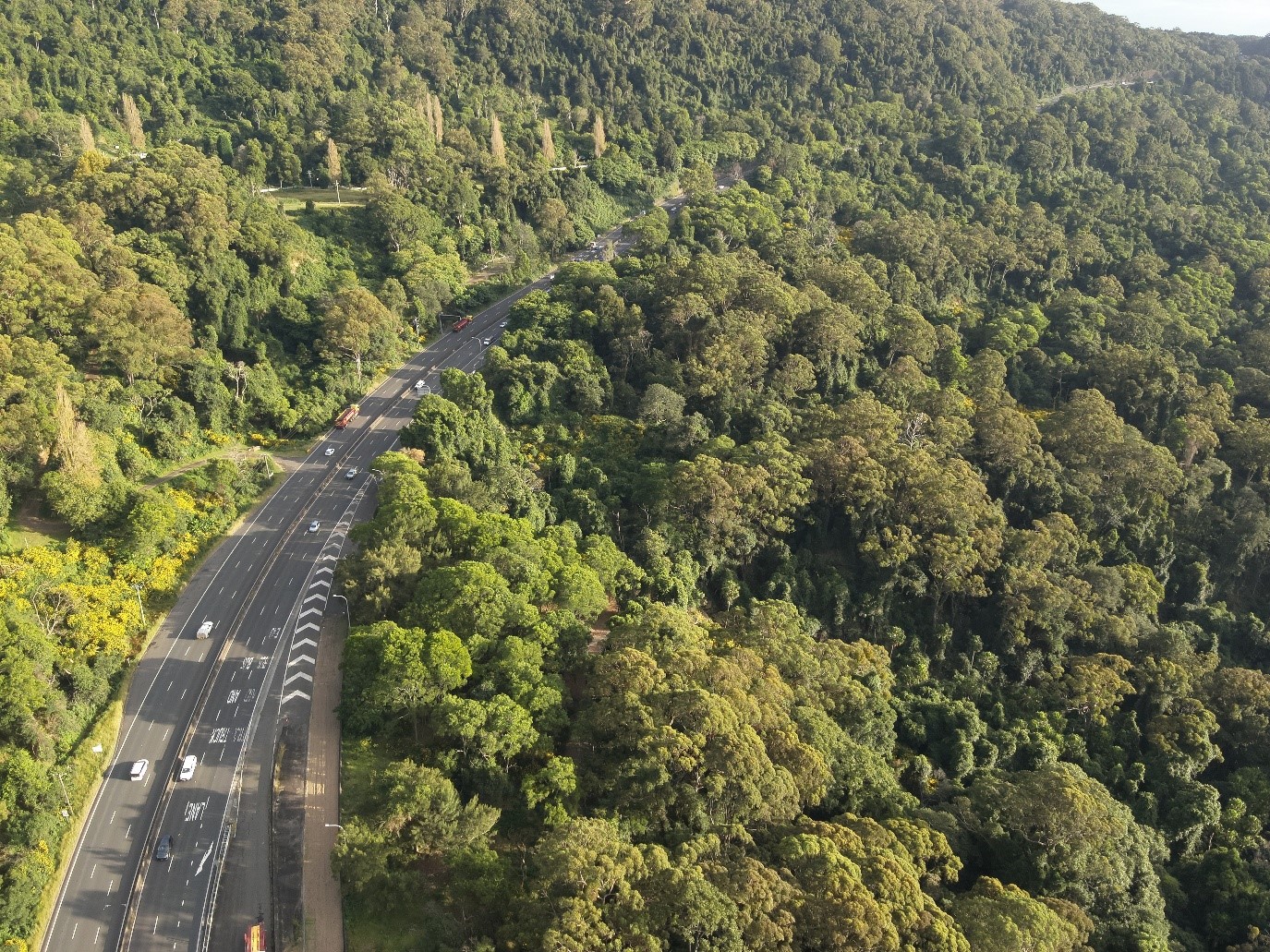 Mount Ousley Safety and Reliability Improvements | Have Your Say