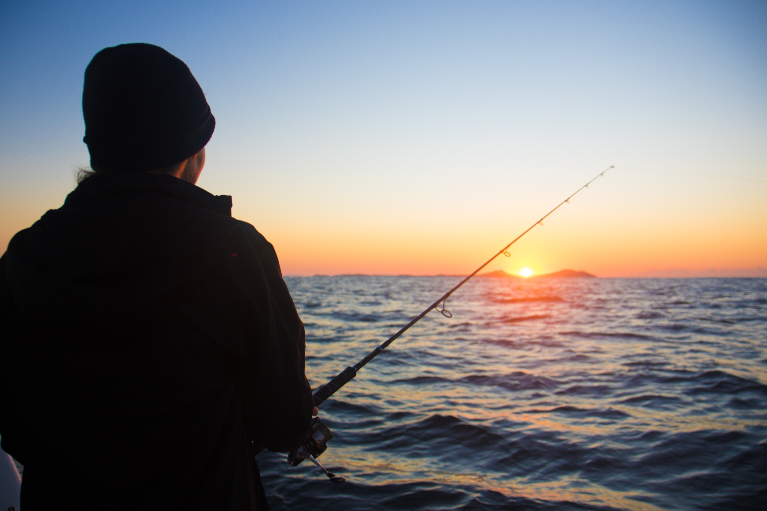 Establishing a peak body for recreational fishing in NSW | Have Your Say