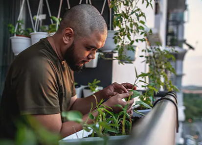 New annual reporting for strata schemes | Have Your Say